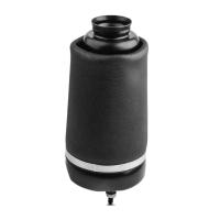 China 1643206013  Air Spring Kits Front For Mercedes Benz M Class W164 for sale