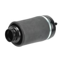 China 1643206013  Air Spring Kits Front For Mercedes Benz M Class W164 for sale