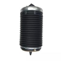 China A6 C7 Air Spring Rear Left/Right for sale