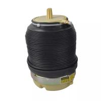 China A6 C6 Air Spring Rear for sale