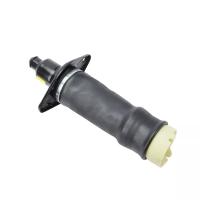 China A6 C5 Air Spring Rear L&R for sale