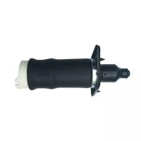 China A6 C5 Air Spring Rear L&R for sale
