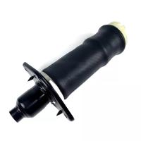 China A6 C5 Air Spring Rear L&R for sale