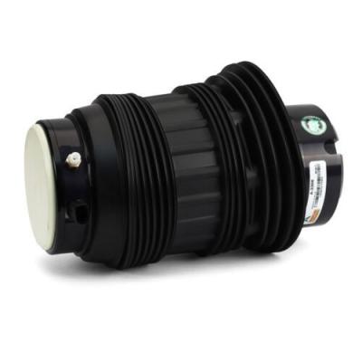 China High Proformnance For Porsche 970 Panamera Rear Air Spring 97033353316,97033353317 for sale
