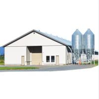 China Custom Steel Structure Chicken House with 3-5 Layer Cage System and 1m Aisle Width for Poultry Farming for sale