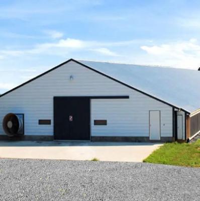 China Lightweight Steel Frame Chicken House with 1m Aisle Width and 3-5 Level Cage Systems for Poultry Farming for sale