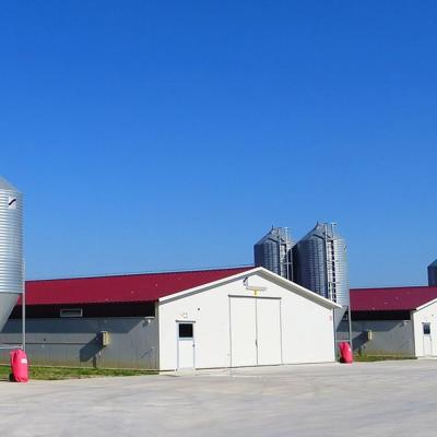 China Economical Light Steel Structure Building 40-Day Delivery Custom Shed Factory with 1m Aisle Width for sale