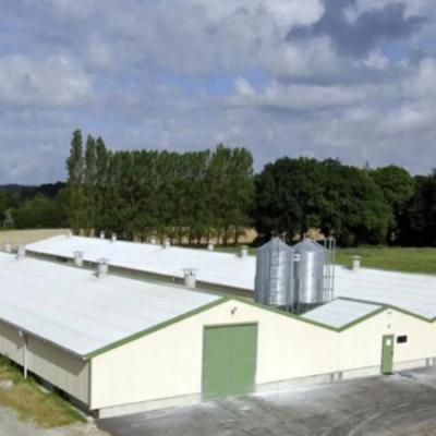 China Automatic Prefab Steel Structure Chicken House with Q235/Q345 Steel Frame 0.4-0.6mm Galvanized Sheet for sale