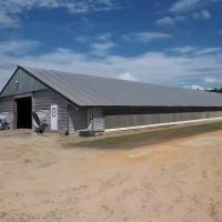 China Prefab Steel Structure Chicken House Building - 1000sqm Minimum Order, CE Certified Q235B/Q355B Models for sale