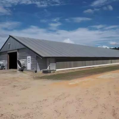 China Prefab Steel Structure Chicken House Building - 1000sqm Minimum Order, CE Certified Q235B/Q355B Models for sale