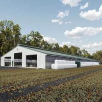 China Light Steel Structure Cow Shed Barn with 0.4-0.6mm Galvanized Panels and Q235B/Q355B Steel Frame for sale