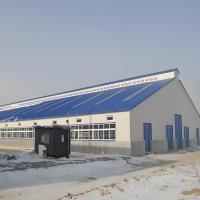 China Prefabricated Light Steel Structure Dairy Barn 12m Span Easy Install Farm Shed for sale