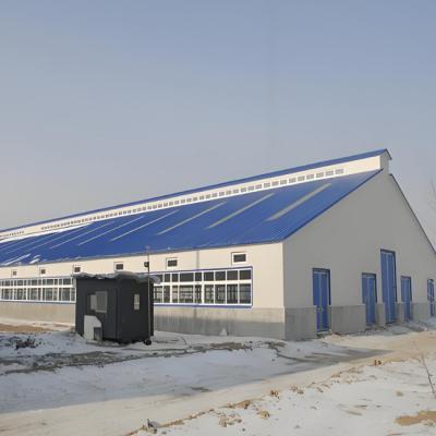 China Prefabricated Light Steel Structure Dairy Barn 12m Span Easy Install Farm Shed for sale