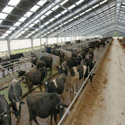 China Easy Install Prefabricated Steel Cattle Shed - Custom Farm Barns with 40-Day Delivery for sale