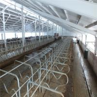 China Q235B Q355B Steel Frame Prefabricated Goat Shed - Custom Farm Building with 40-Day Delivery for sale