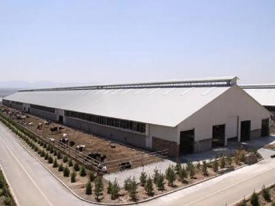 China Ventilation Steel Structure Cow Shed - Durable Livestock Shelter with Custom Panels & Ventilation Systems for sale