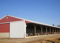 China Light Prefab Steel Livestock Barns & Cattle Sheds - Custom 40-Day Construction with Steel Frame Design for sale