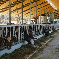 China Easy Install Prefab Steel Cattle Barns - Custom Shed Construction with 40-Day Delivery & ISO9000 Certified for sale