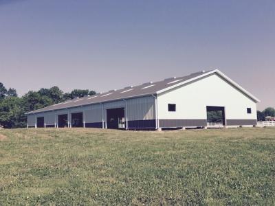 China Prefabricated Steel Structure Warehouse Building - 36m Clear Span, 25-Year Warranty for Industrial & Agricultural Use for sale