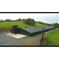 China Commercial Prefabricated Steel Building Durable Easy Install For Broiler Chickens Farms for sale