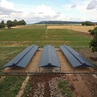 China Cow Shed Prefab Steel Farm Building Steel Structure For Livestock for sale