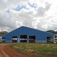 China Cow Shed Prefab Steel Farm Building Steel Structure For Livestock for sale