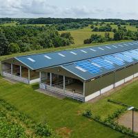 China Cow Shed Prefab Steel Farm Building Steel Structure For Livestock for sale