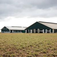 China Cow Shed Prefab Steel Farm Building Steel Structure For Livestock for sale