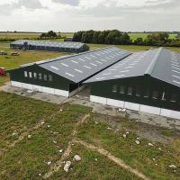 China Cow Shed Prefab Steel Farm Building Steel Structure For Livestock for sale