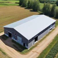 China Prefabricated Steel Warehouse Building 20m Clear Span Industrial Logistics Factory for sale
