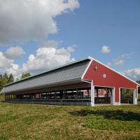 China Easy Install Prefab Customized Cow Shed Prefabricated Steel Structure Design Dairy Farm for sale