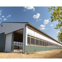 China Easy Install Prefab Customized Cow Shed Prefabricated Steel Structure Design Dairy Farm for sale