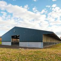 China Easy Install Prefab Customized Cow Shed Prefabricated Steel Structure Design Dairy Farm for sale