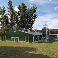 China Prefab Steel Structure Low Cost Commercial Chicken House Complete Poultry Farm Shed for Chicken Raising for sale