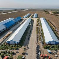 China Prefab Steel Structure Low Cost Commercial Chicken House Complete Poultry Farm Shed for Chicken Raising for sale