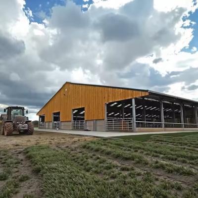 China Modern Design Prefab Dairy Cow Shed Steel Structure Farm House With Cow Stable Easy Installation for sale