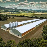 China Q235/Q345 Steel Structure Chicken House Farm Broiler Poultry Shed Construction Design with Durable Sandwich Panel Roofing for sale