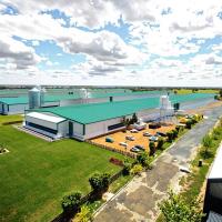 China Q235/Q345 Steel Structure Chicken House Farm Broiler Poultry Shed Construction Design with Durable Sandwich Panel Roofing for sale