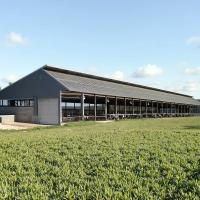China Modern Steel Structure Cow Shed for Fast Cattle Farm Construction for sale