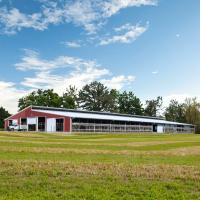China Modern Steel Structure Cow Shed for Fast Cattle Farm Construction for sale