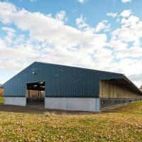 China Modern Steel Structure Cow Shed for Fast Cattle Farm Construction for sale