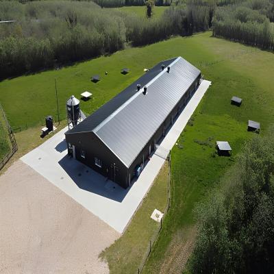 China Lightweight Steel Frame Chicken House with 0.4-0.6mm Galvanized Sheets and C120-C320 Purlin Sizes for Poultry Farming for sale
