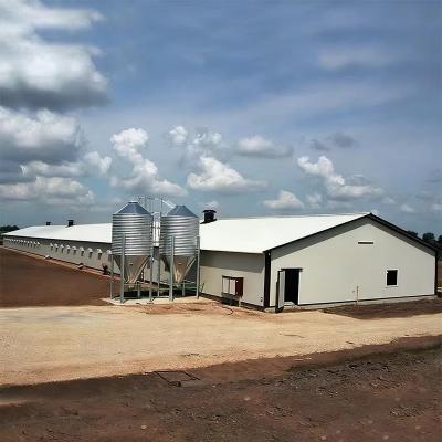 China Flexible Design Steel Structure Chicken House With Great Thermal Properties And Low Maintenance for sale