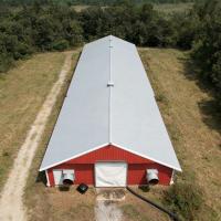 China Customized Steel Structure Poultry House Prefabricated Large Span Chicken house for sale