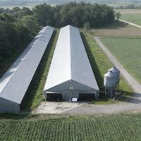 China Customized Steel Structure Cattle Barn Prefabricated Large-span Livestock Shed for sale