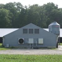 China Customized Steel Structure Cattle Barn Prefabricated Large-span Livestock Shed for sale