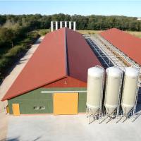 China Commercial Broiler Layer Chicken Farm Hot Dip Galvanized Steel Chicken House 15 20 Year Lifespan for sale