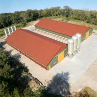 China Commercial Broiler Layer Chicken Farm Hot Dip Galvanized Steel Chicken House 15 20 Year Lifespan for sale