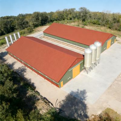China Commercial Broiler Layer Chicken Farm Hot Dip Galvanized Steel Chicken House 15 20 Year Lifespan for sale