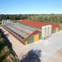 China Commercial Broiler Layer Chicken Farm Hot Dip Galvanized Steel Chicken House 15 20 Year Lifespan for sale